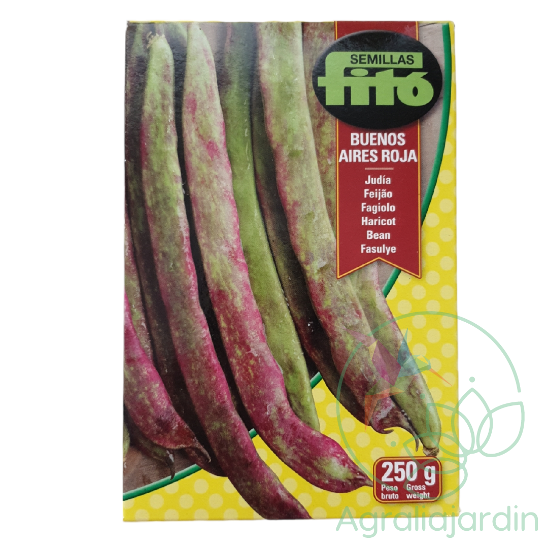 Judía Buenos Aires 250 g Semillas Fitó - Agralia Jardín