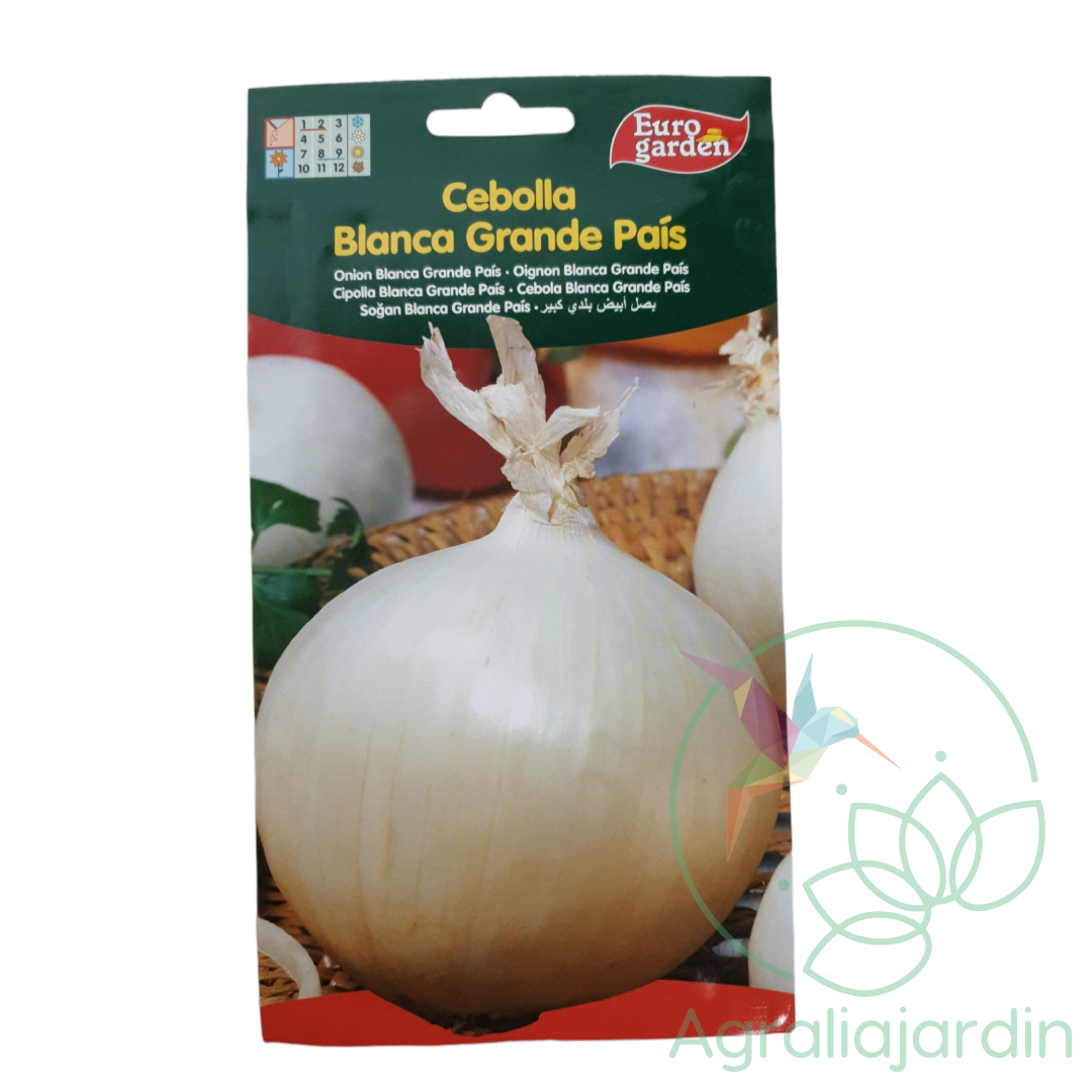 Semilla de cebolla roja de Niort Eurogarden - Agralia Jardín