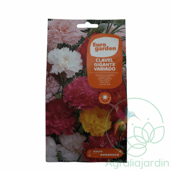 Semilla de flor clavel gigante variado Eurogarden - Agralia Jardín