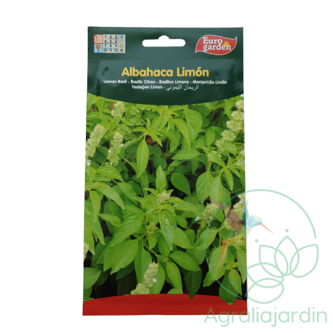 Semilla de albahaca limón Eurogarden - Agralia Jardín