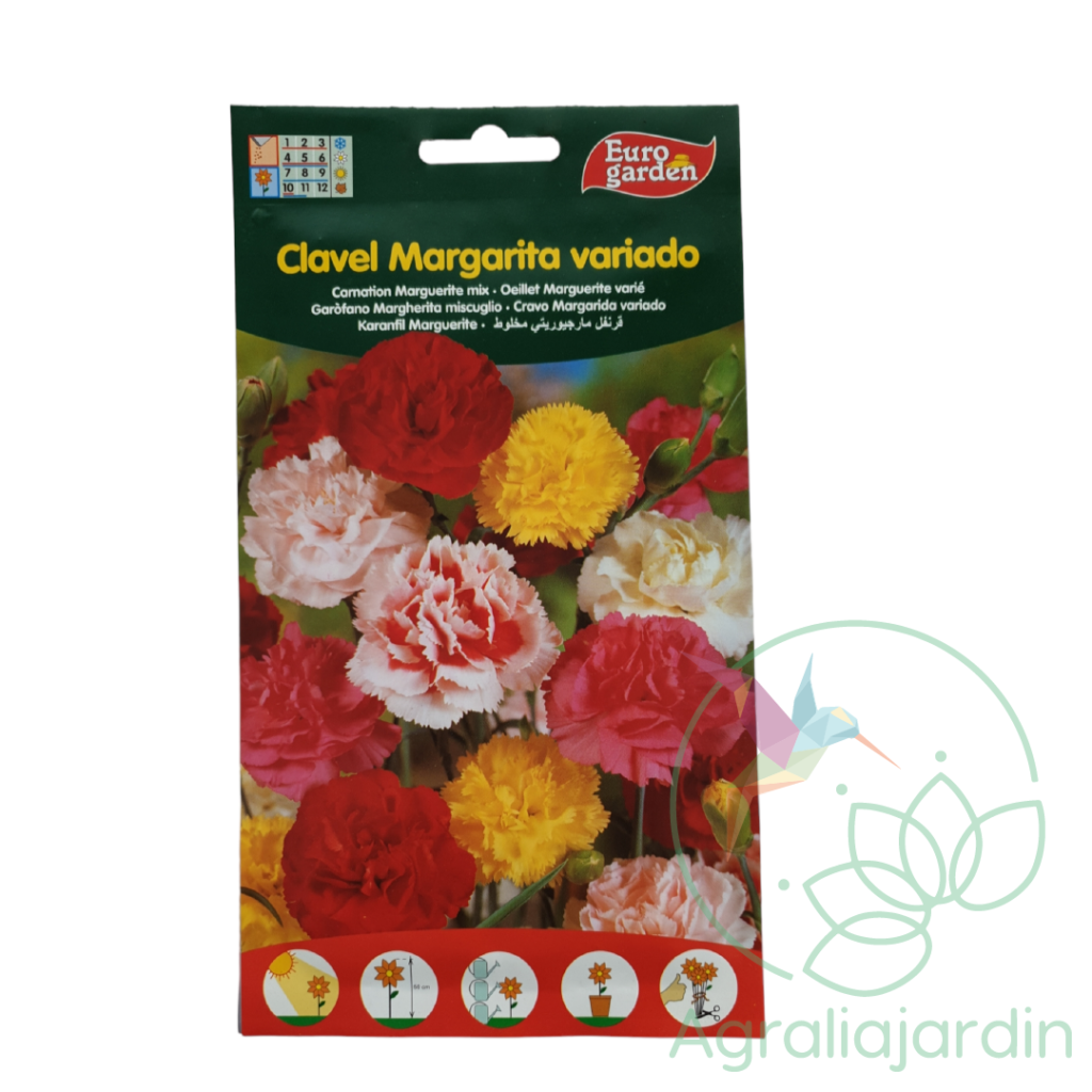 Semilla de flor clavel gigante variado Eurogarden - Agralia Jardín